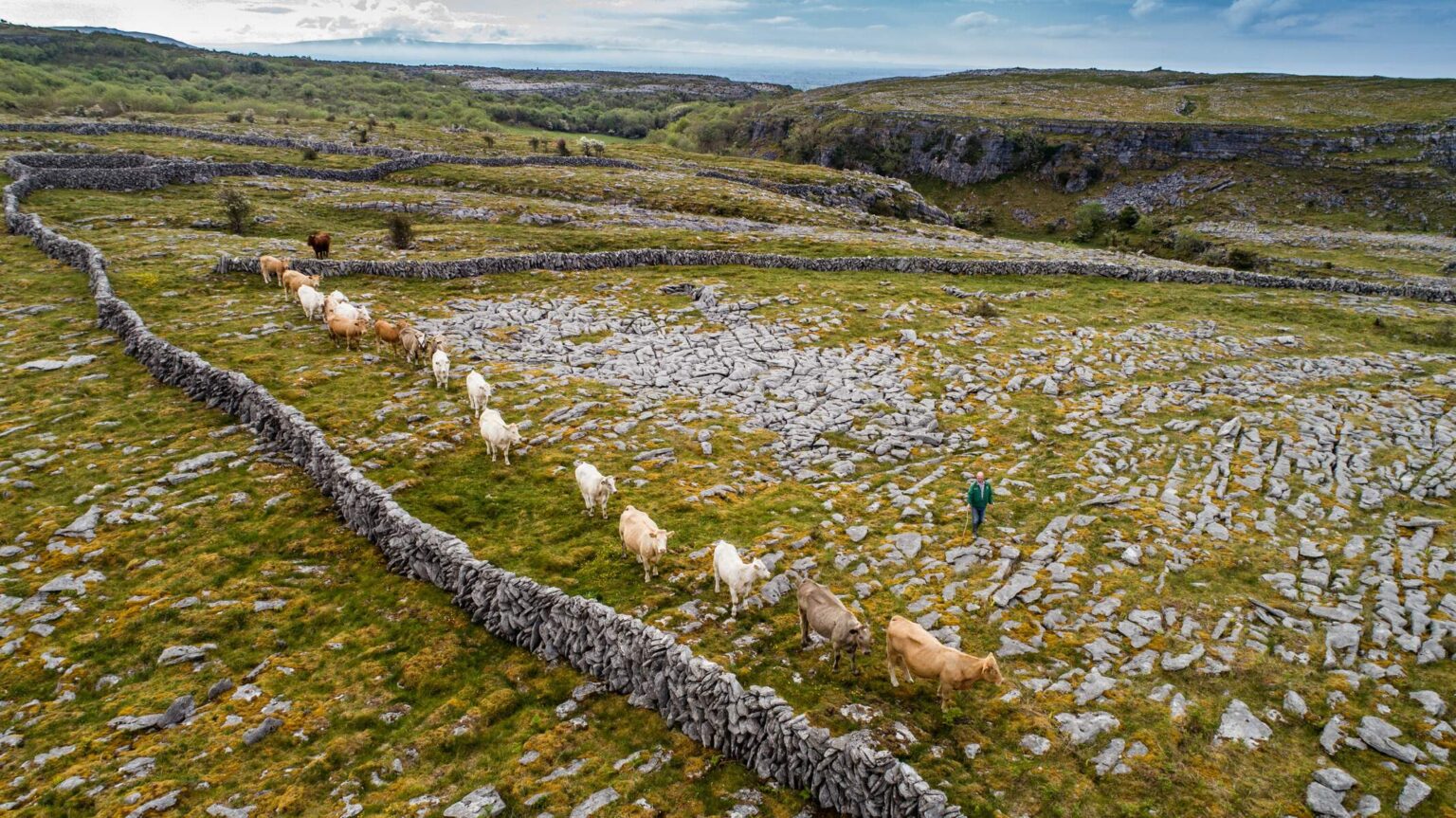WHAT’S WITH ALL THE STONE WALLS ACROSS THE IRISH LANDSCAPES?! - Benny's ...